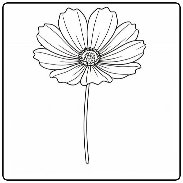 Gratis Cosmos Bloem Kleurplaten Om Te Printen PDF Voor Alle